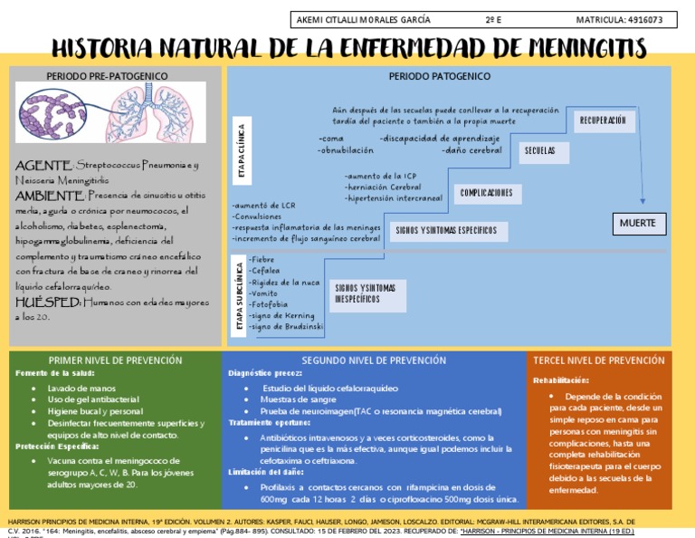 Historia Natural Meningitis | PDF | Meningitis | Ciencias de la Salud
