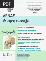 Anatomia Topografica de Cabeza y Cuello | PDF | Cráneo | Sistema esquelético