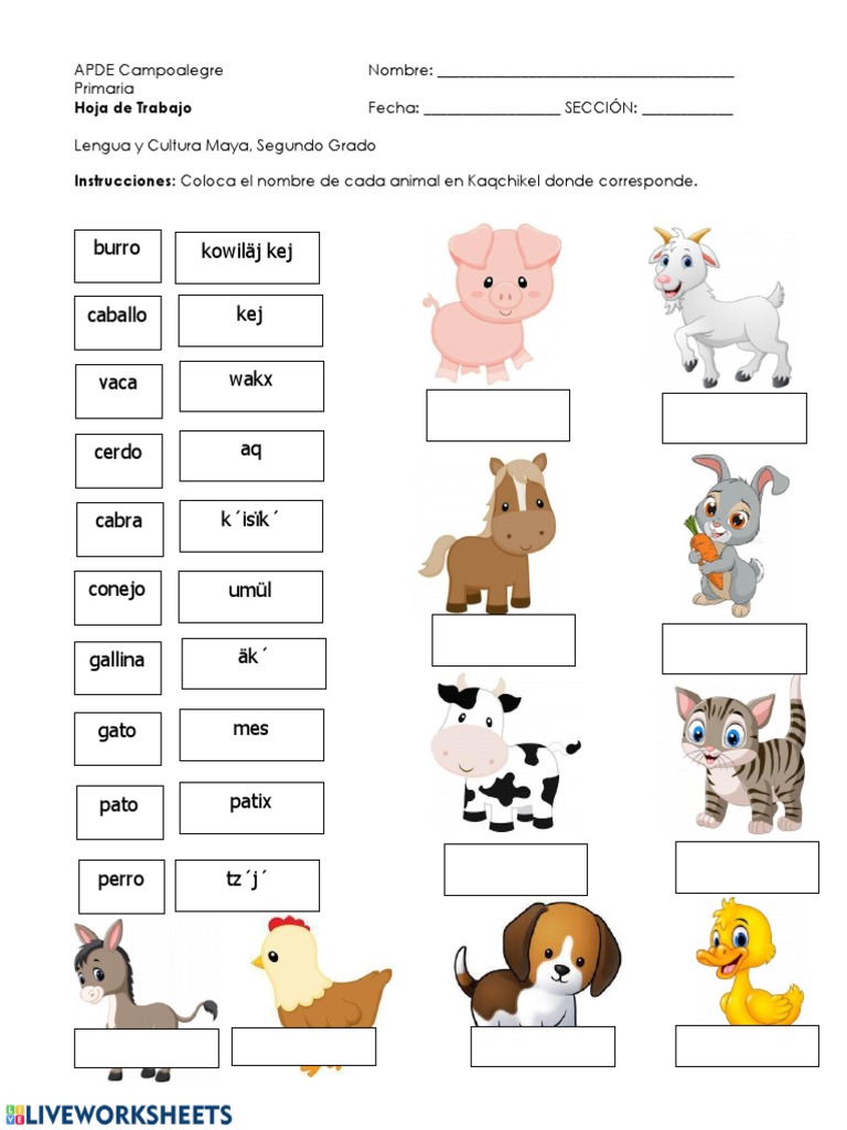 Animales en Kaqchikel para Niños | PDF