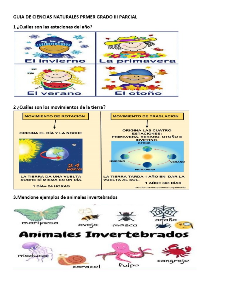 Guia de Ciencias Naturales Primer Grado Iii Parcial | PDF