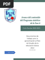 Esquema Programa Analitico Secundaria 2025-2026 | PDF | Aprendizaje | Inclusión (Educación)