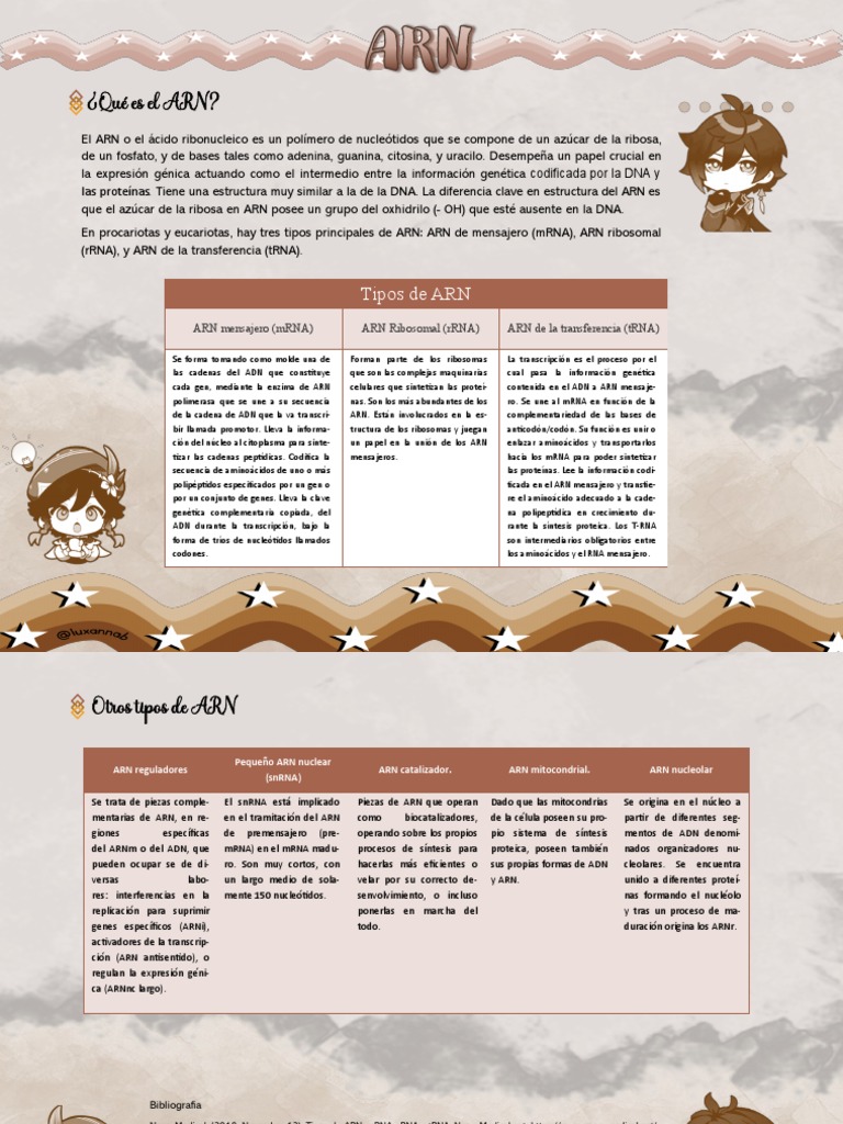 El ARN | PDF | Rna | Adn