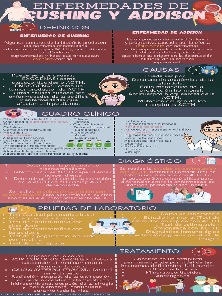 Diferencias Entre Enfermedad de Cushing y Addison | PDF | Hormona ...