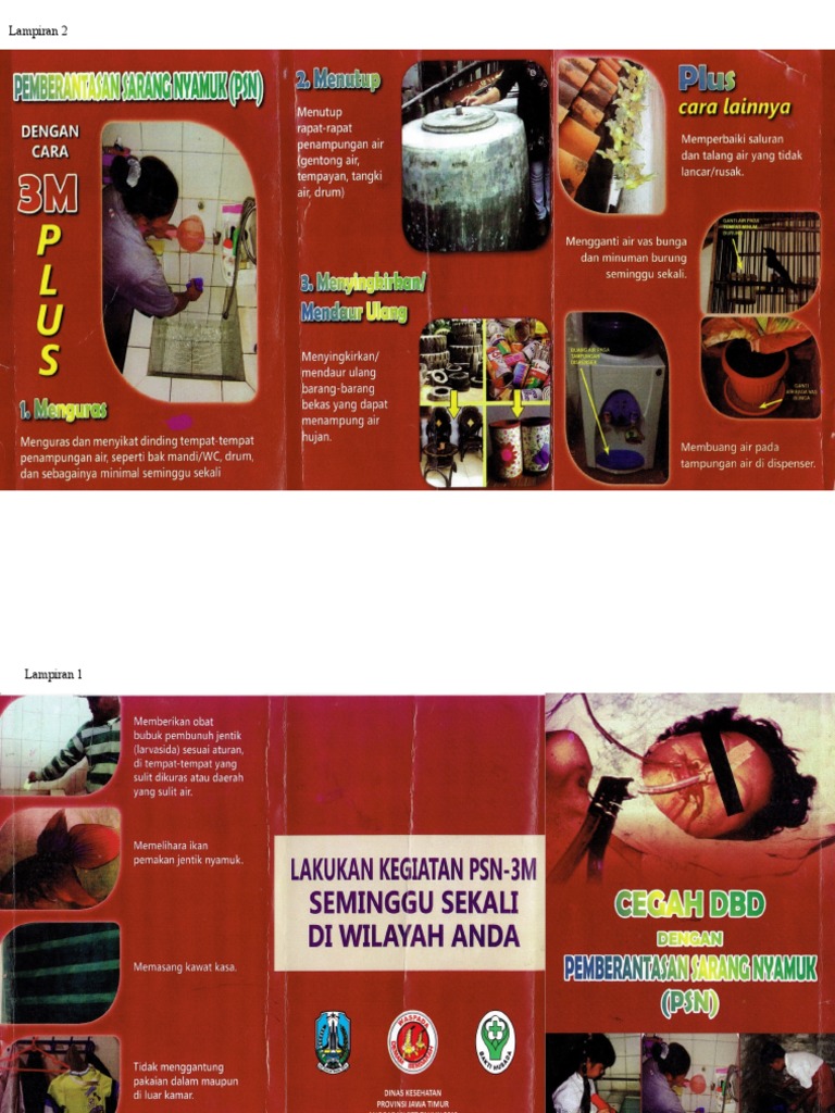 PSN 3 M Leaflet | PDF