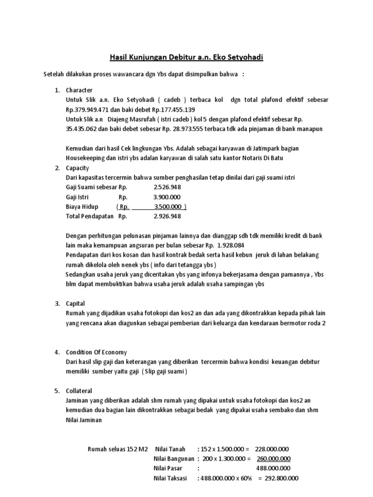 Analisis Keuangan Debitur Eko Setyohadi | PDF