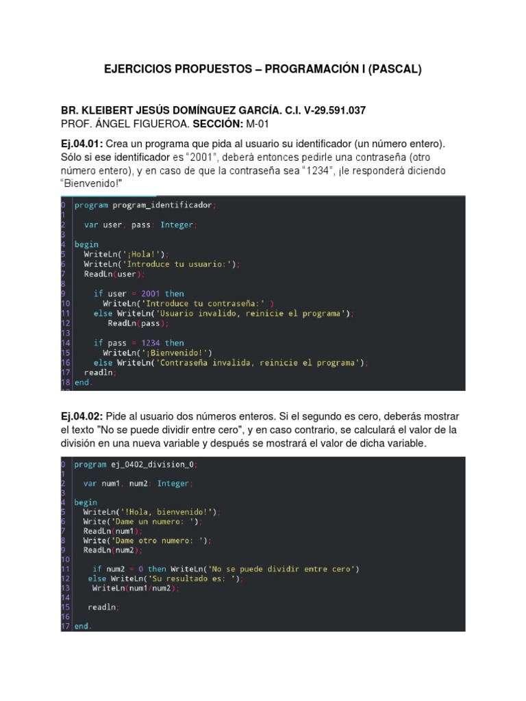 Ejercicios Propuestos Programación | PDF