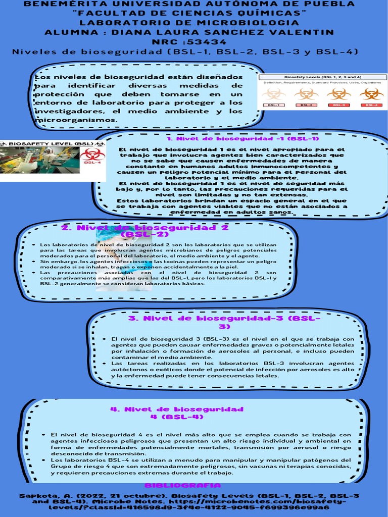 Niveles de Bioseguridad (BSL-1, BSL-2, BSL-3 y BSL-4) | PDF | Ciencias de la Salud ...