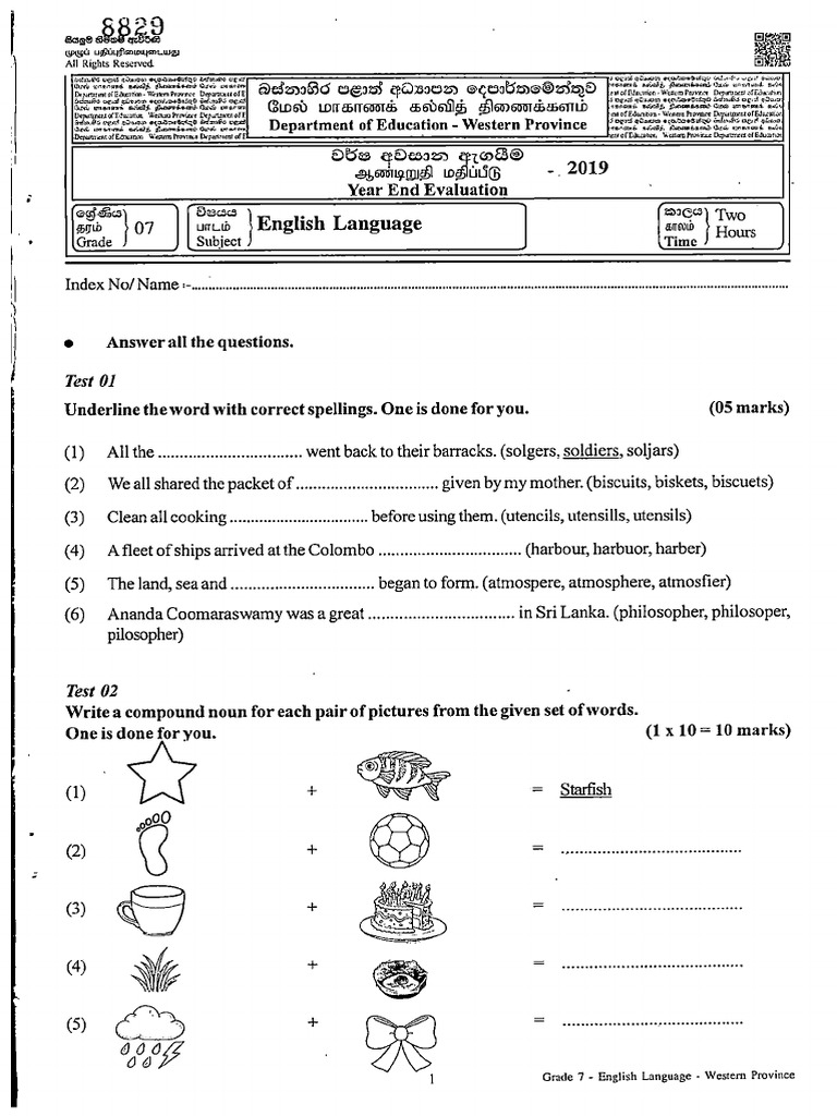 2019 g7 English Language | PDF