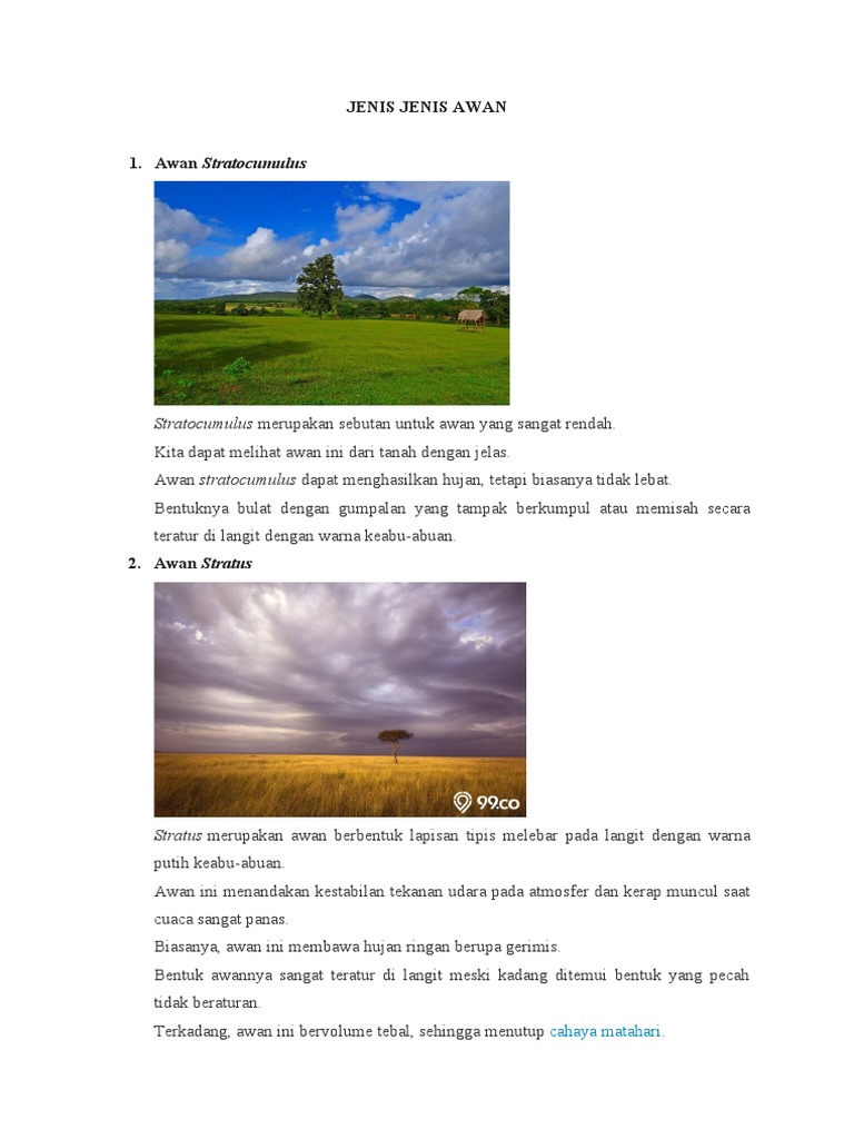 Jenis Jenis Awan | PDF