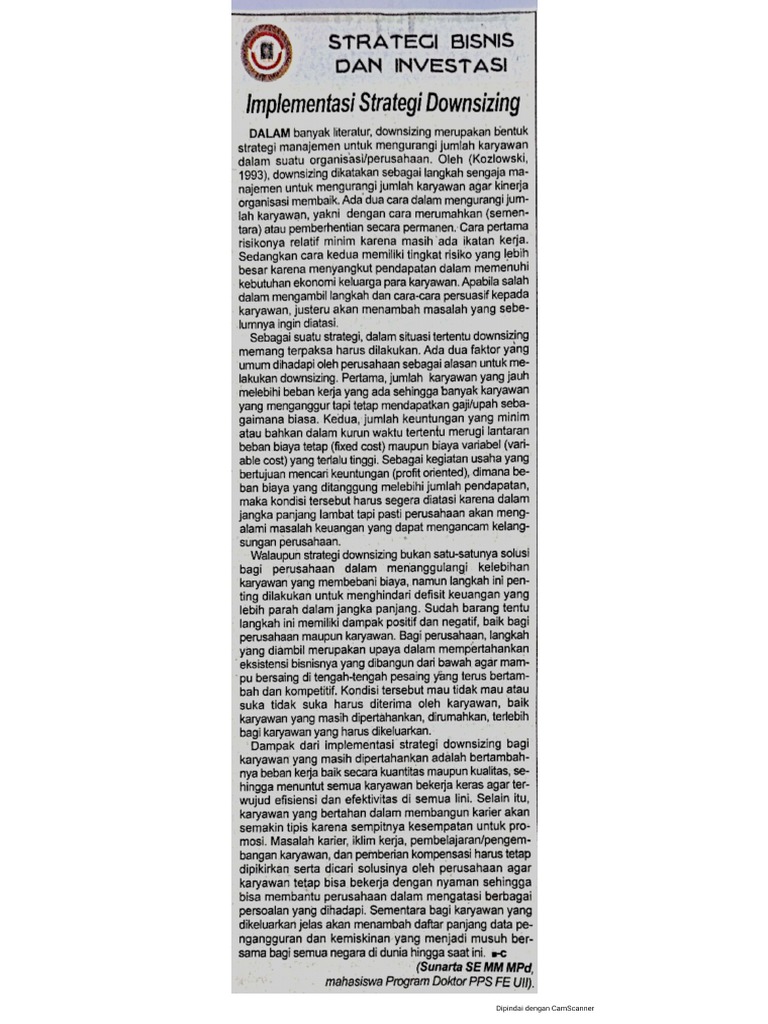 Downsizing Strategy | PDF