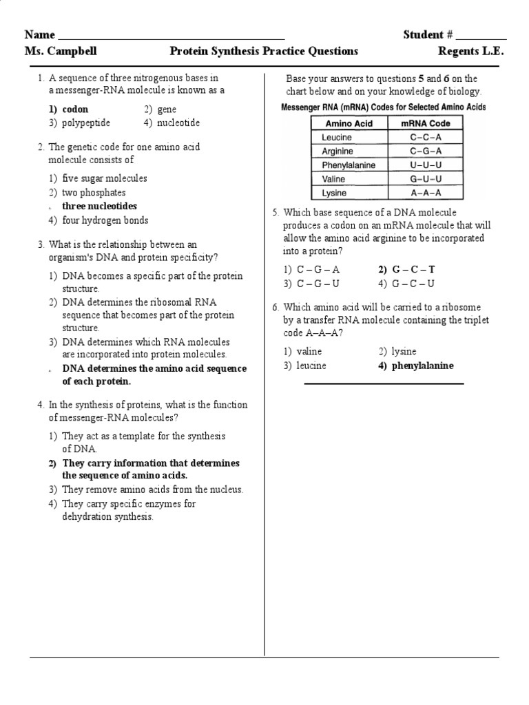 Ms Campbell Protein Synthesis Practice Questions Regents Le | PDF | Rna ...