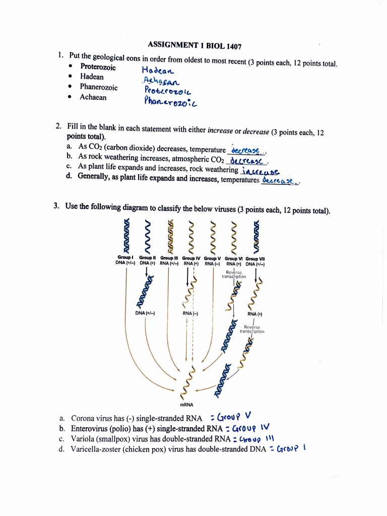 Assignment 1 B | PDF | Virus | Medical Specialties