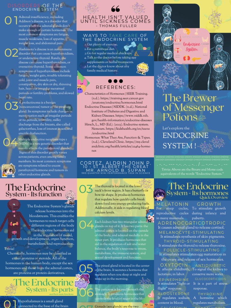 Endocrine System Brochure | PDF | Endocrine System | Hormone