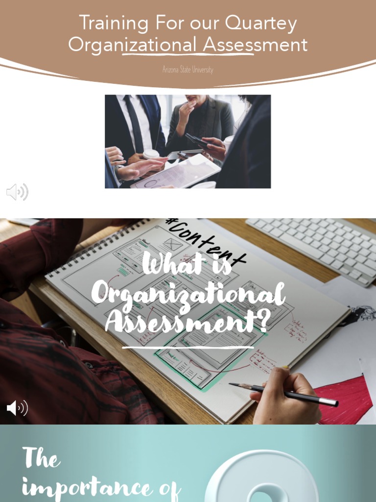 Organizational Assessment Training Guide | PDF