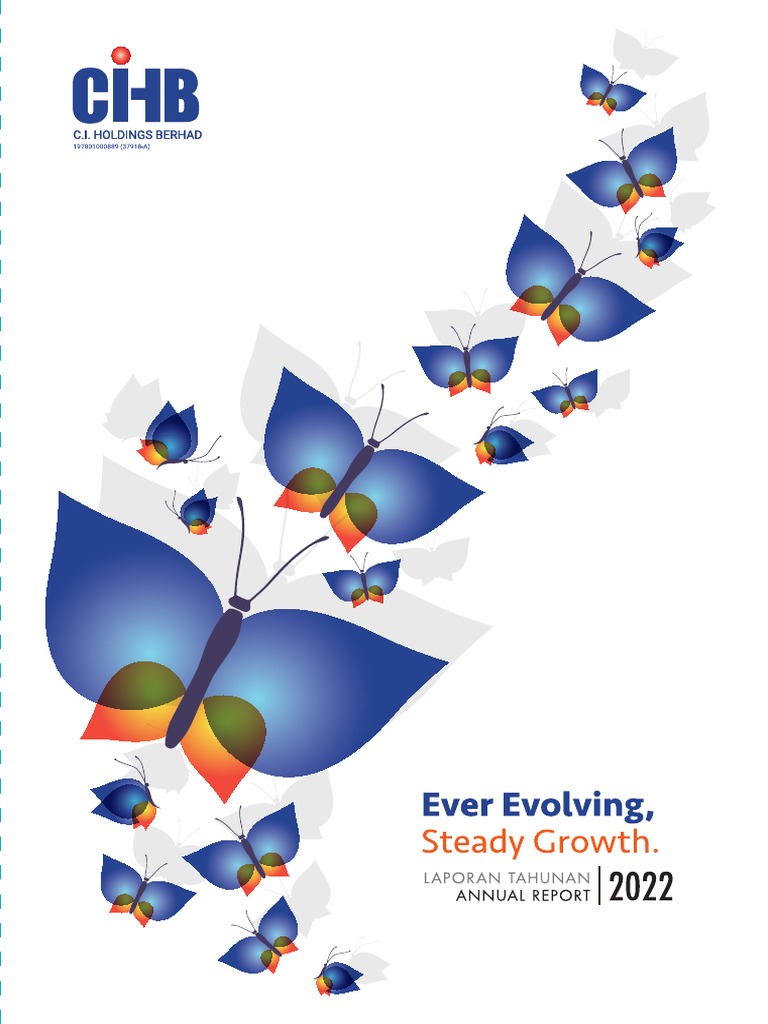 CIHB - Annual Report 2022 | PDF | Business Economics | Business