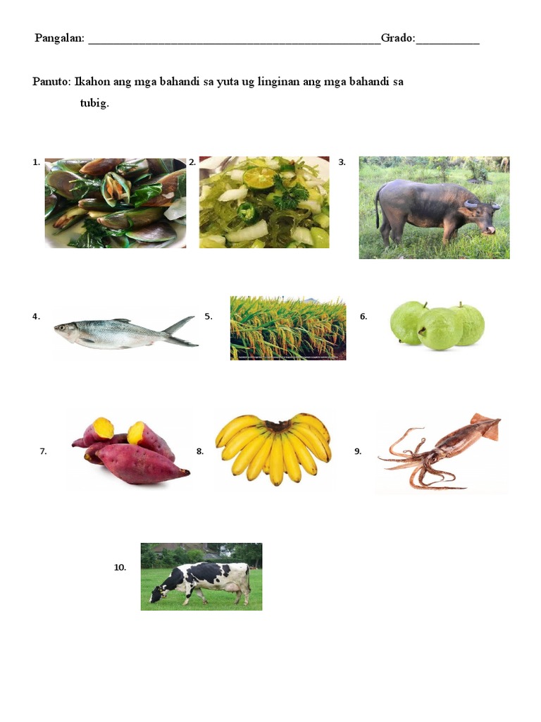 Bahandi Sa Kinaiyahan Worksheet | PDF