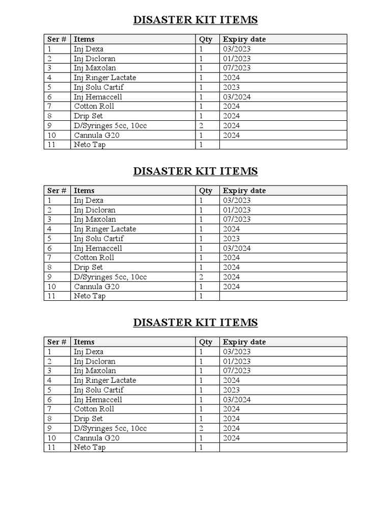 Disaster Kit Items | PDF