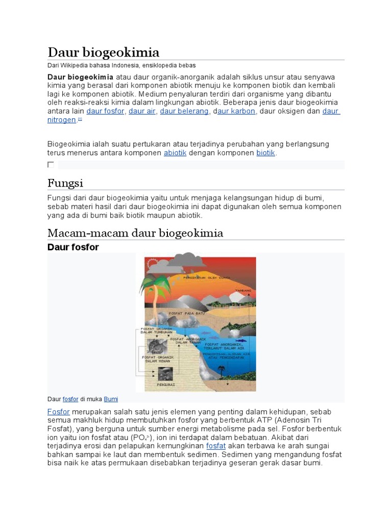Daur Biogeokimia | PDF