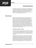 Anatomy of Zea Mays: Structure Overview | PDF | Plant Stem | Maize