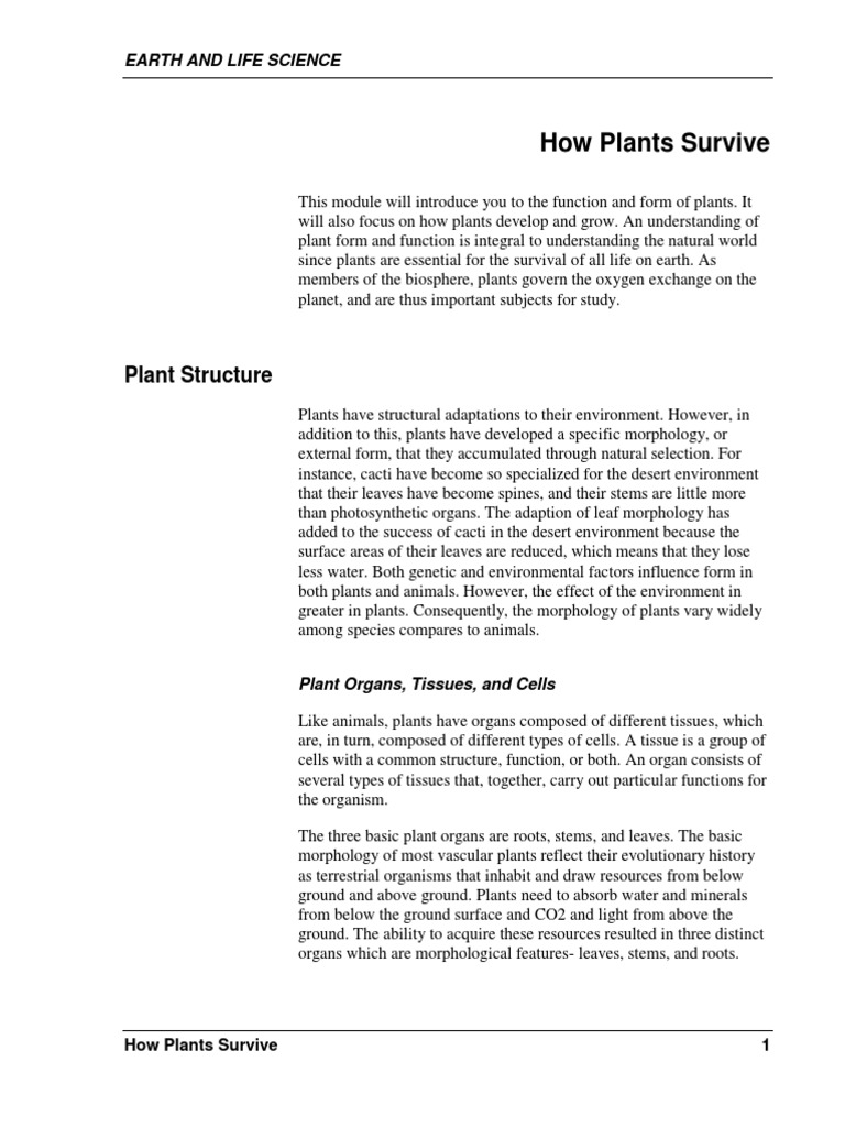Plant Structure and Adaptation Overview | PDF | Leaf | Plant Stem