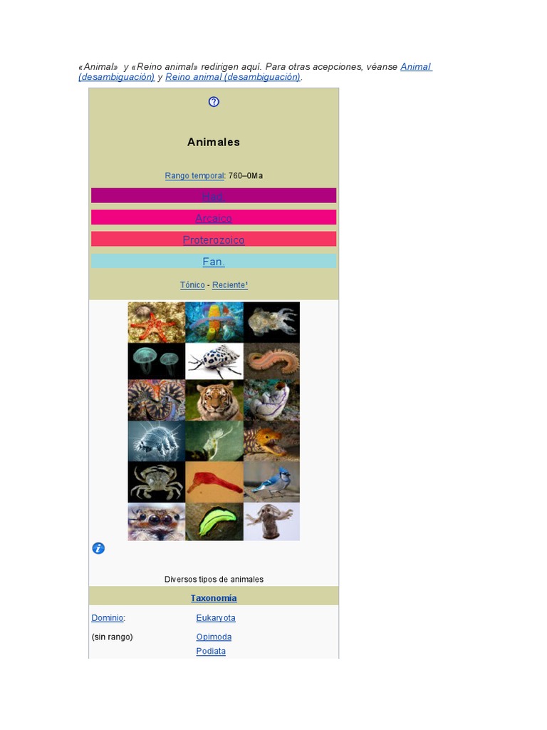 Introducción al Reino Animal | PDF | Biología | Organismos