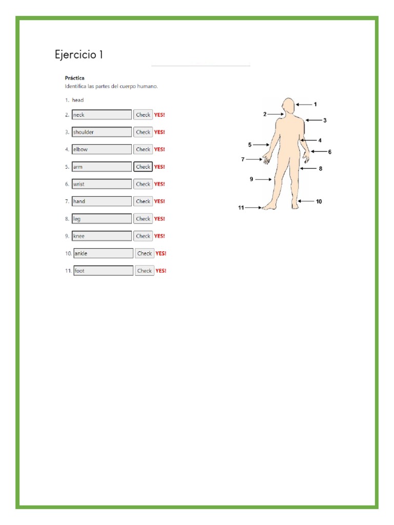 Health Problems and Body Parts. | PDF