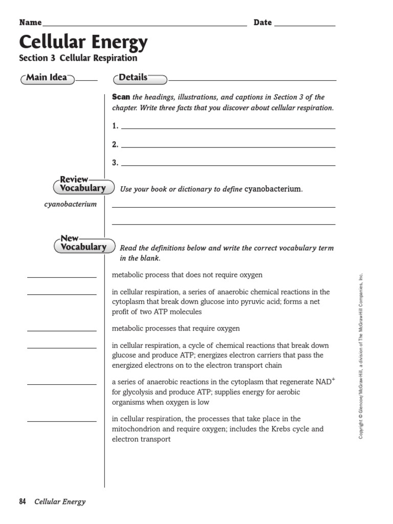 Cellular Energy | PDF | Cellular Respiration | Adenosine Triphosphate