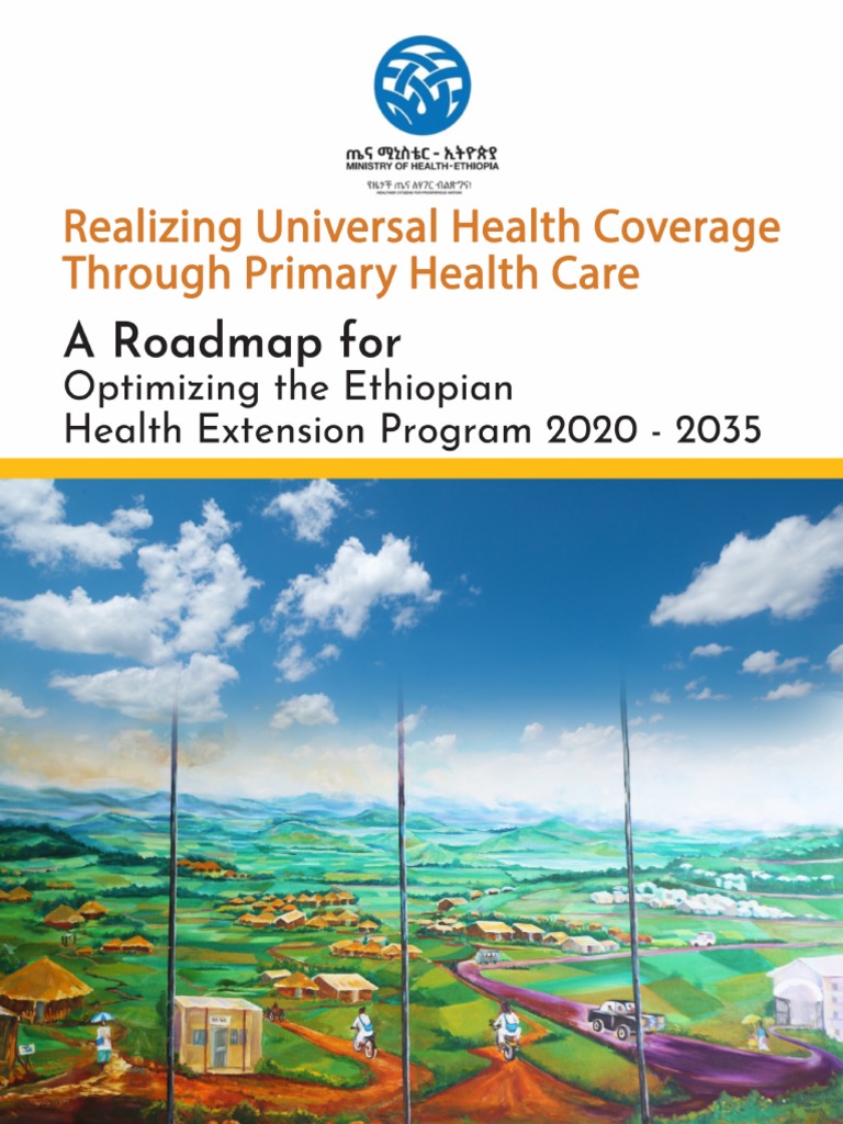 HEP Roadmap Main Document Final | PDF | Health Care | Ethiopia