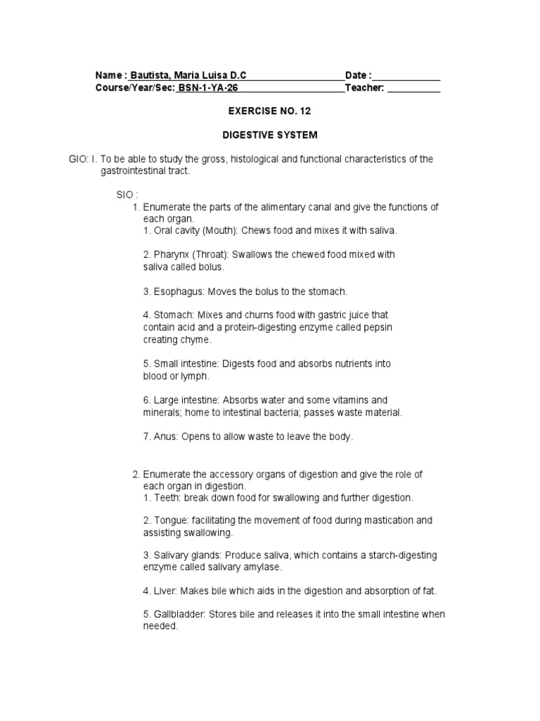 Lab Exercise Digestive System Bautista Maria Luisa | PDF ...
