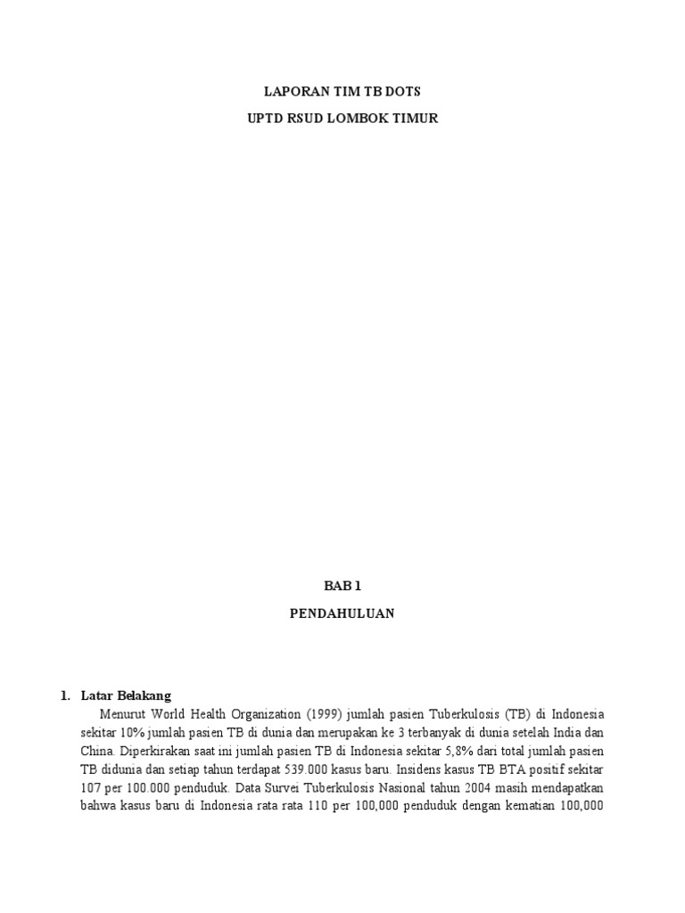 Laporan Tim TB Dots | PDF