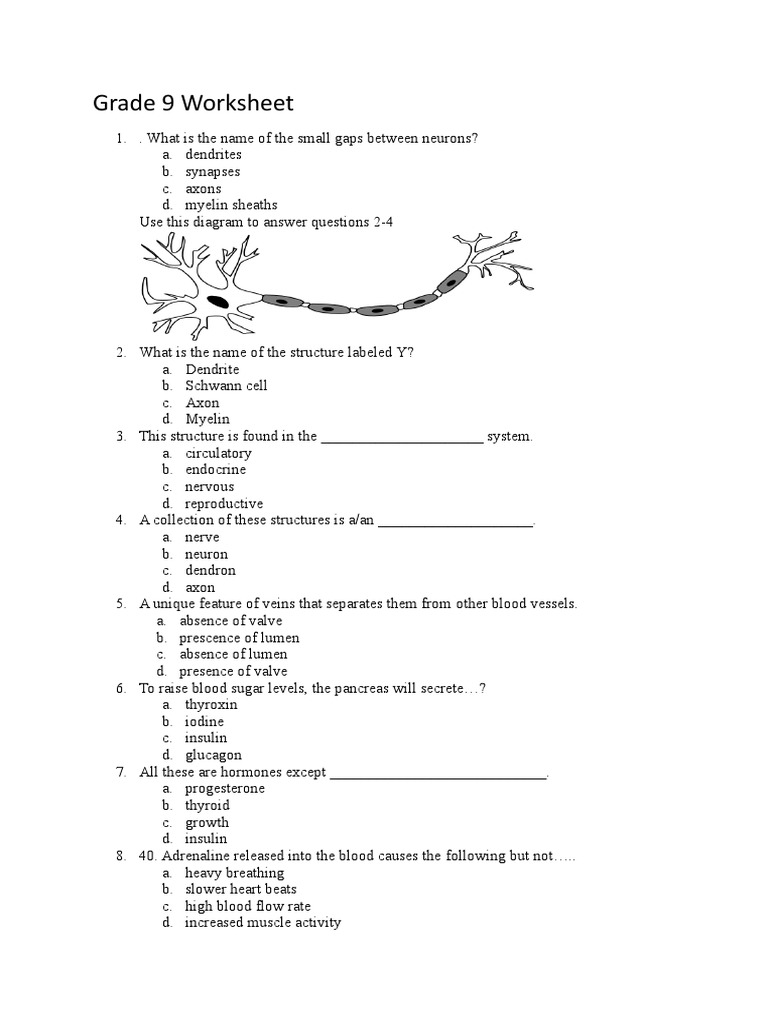 Nervous System Exam Questions for Grade 9 | PDF | Neuron | Axon