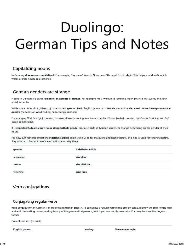 Duolingo Tips and Notes | PDF | Grammatical Gender | Grammatical Number