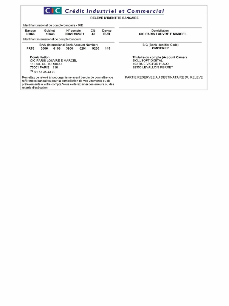 Rib-Cic Skillsoft Digital | PDF