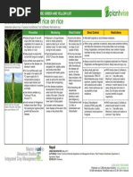 MAIZE Spray Program FINAL | PDF | Maize | Weed