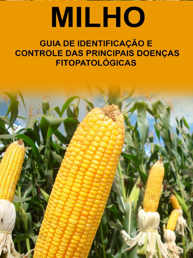 Guia sobre doenças do milho com foco em identificação e controle | PDF ...