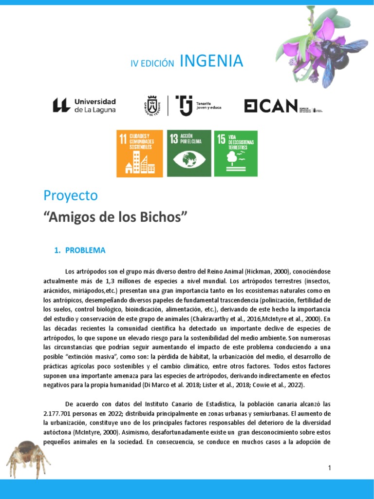 Proyecto Bichos Pdf Insectos Entorno Natural