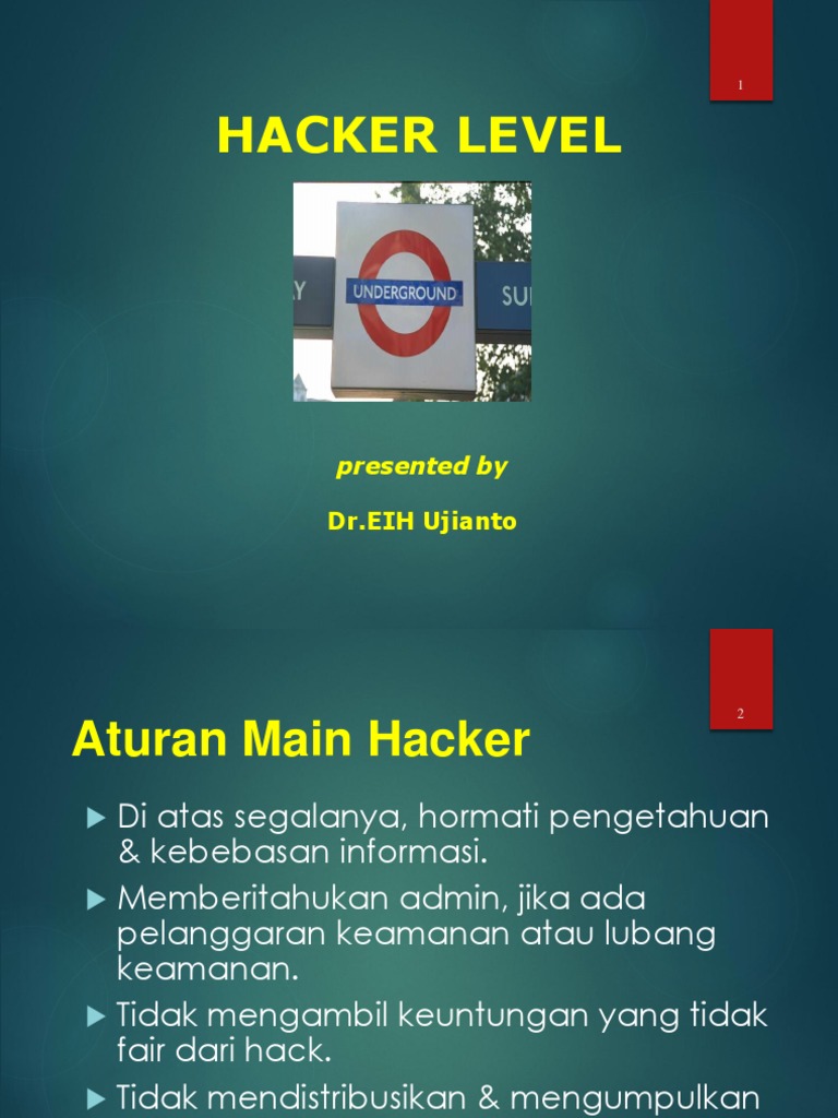 Hacker Levels: Understanding the Ranks and Responsibilities in the ...