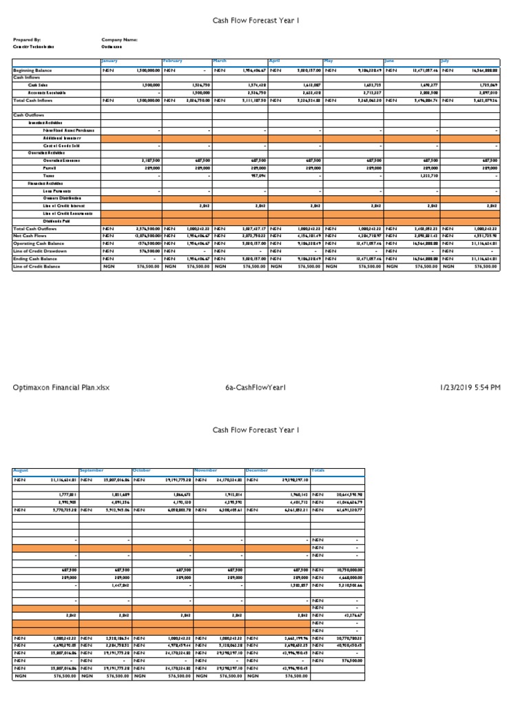 Optimaxon Financial Plan - Cash Flow Forecast | PDF | Line Of Credit | Cash