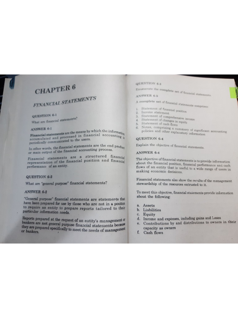 C6 - Financial Statements | PDF