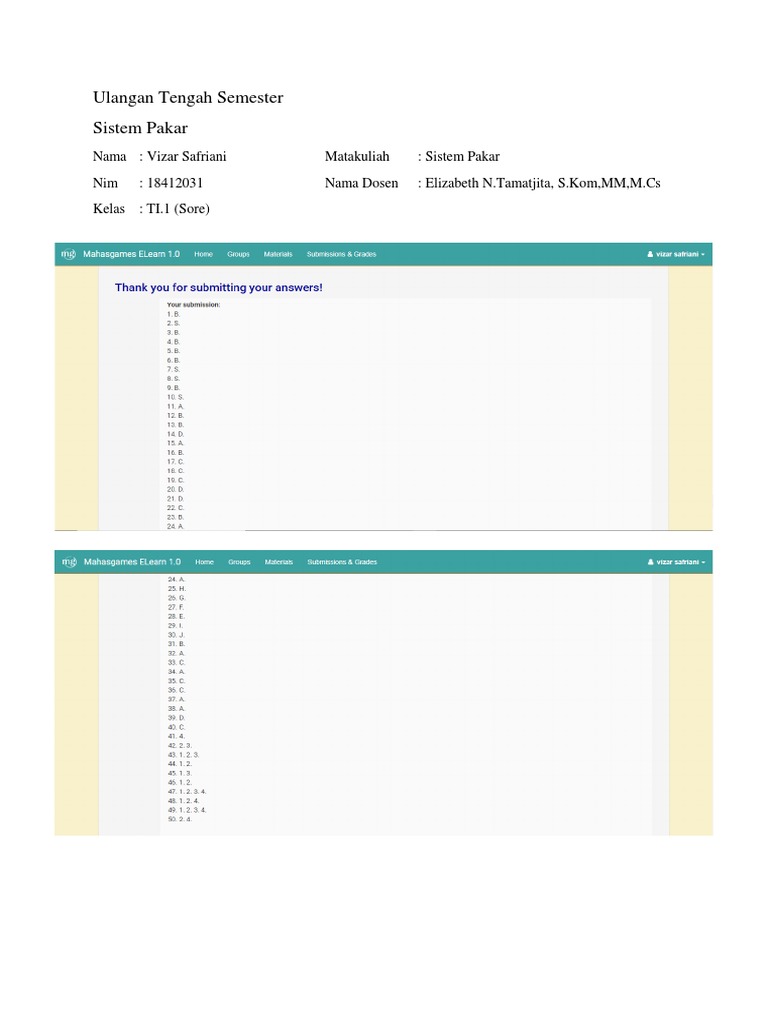 Vizar Safriani | PDF