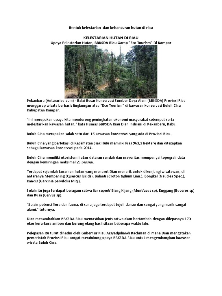 Bentuk Kelestarian Dan Kehancuran Hutan Di Riau | PDF