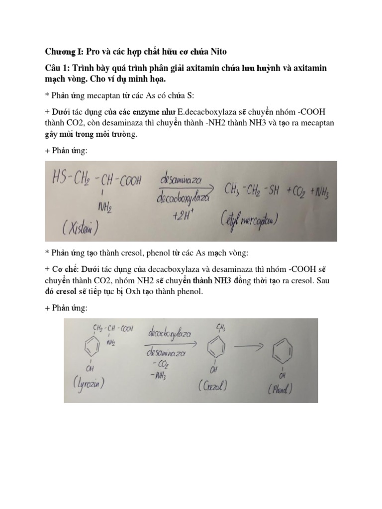 Đề cương HSMT | PDF