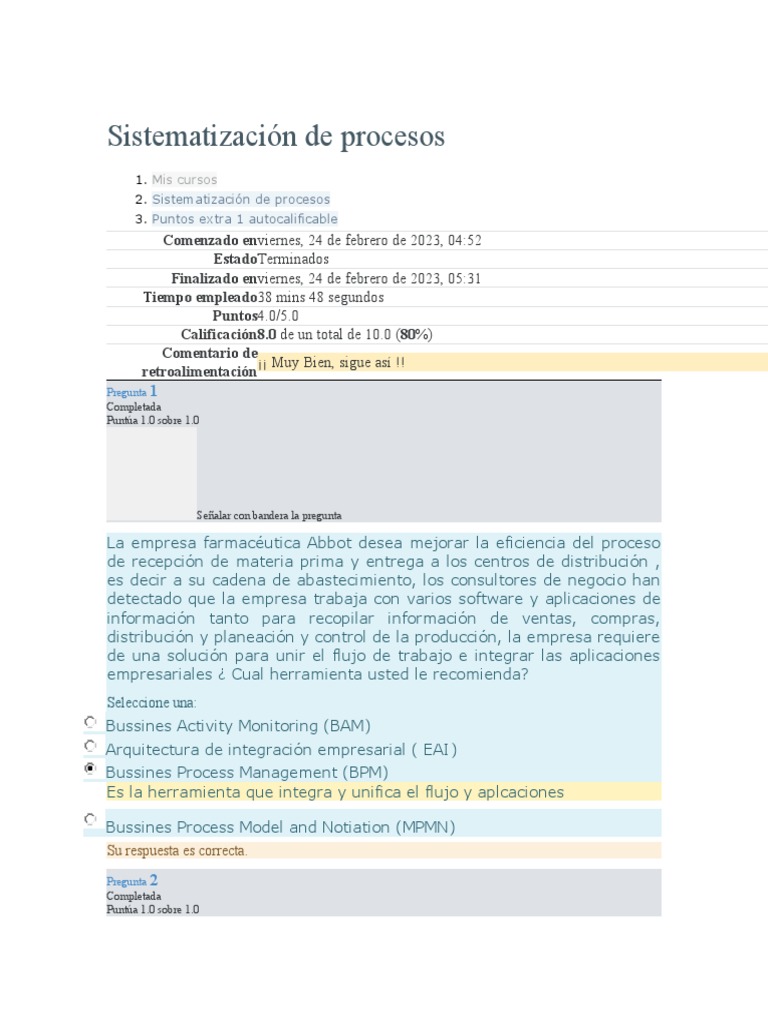 Auticalificable 1 | PDF | Planificación de recursos empresariales | Informática