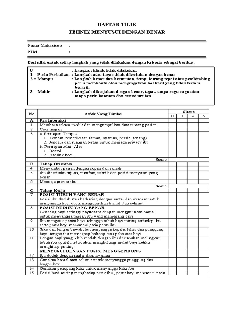 Daftar Tilik Teknik Menyusui Yang Benar | PDF