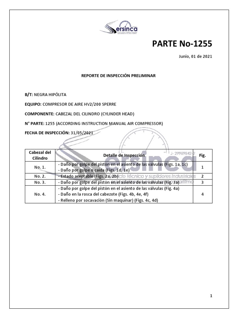Negra Hipolita 1255 | PDF | Ingeniería mecánica | Motores