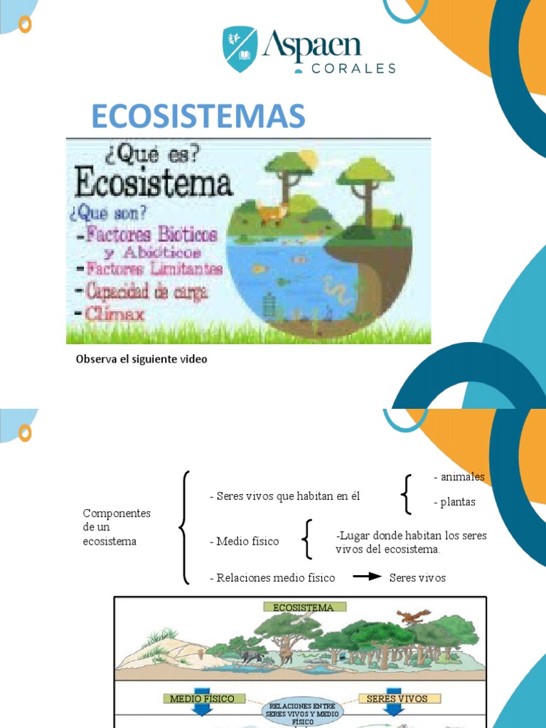Los componentes y relaciones de un ecosistema | PDF | Ecosistema | Desierto