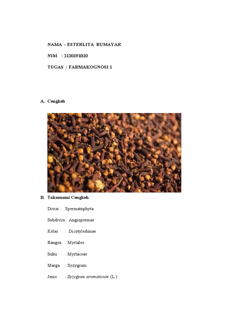 Esterlita Rumayar | PDF