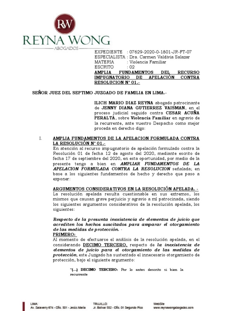 Amplia Fundamentos de Apelacion + Adjunta Pruebas de Violencia Psicologica + Pericia Psicologica ...