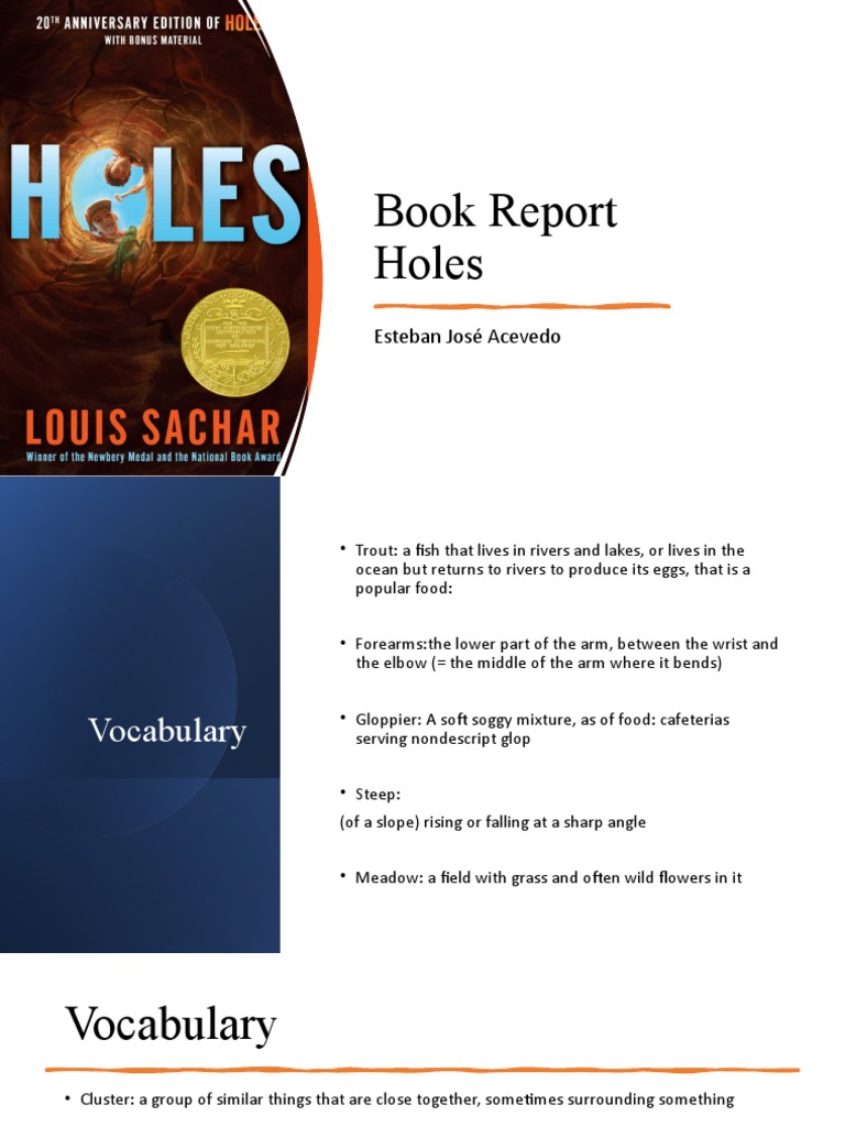 Book Report HOLES | PDF