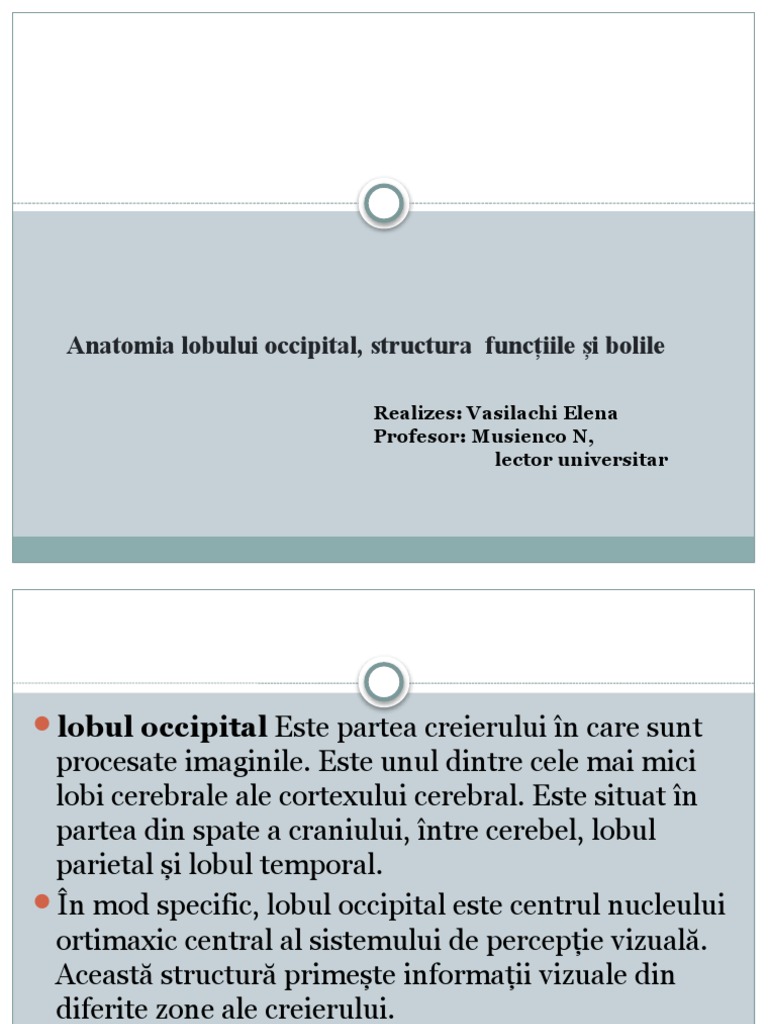 Lobul Obcipital | PDF